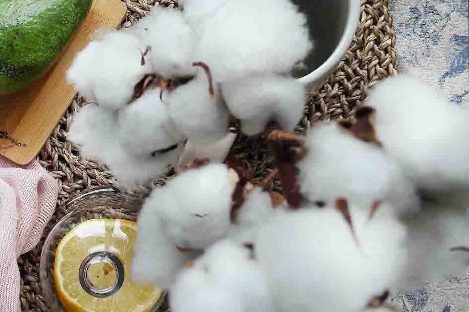 Organic Cotton: The Sustainable Choice for a Greener Fashion - Rosemallee